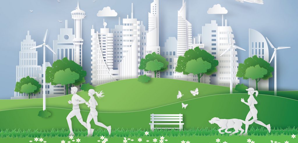 Groen in de stad: vijf beleidsadviezen