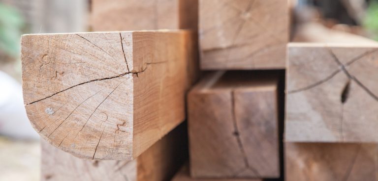 Hout van gevelde bomen onder de hamer in Amsterdam - Gemeente.nu